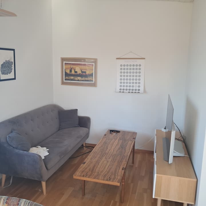 Spacious 2 Bedroom Apartment. - レイキャビク