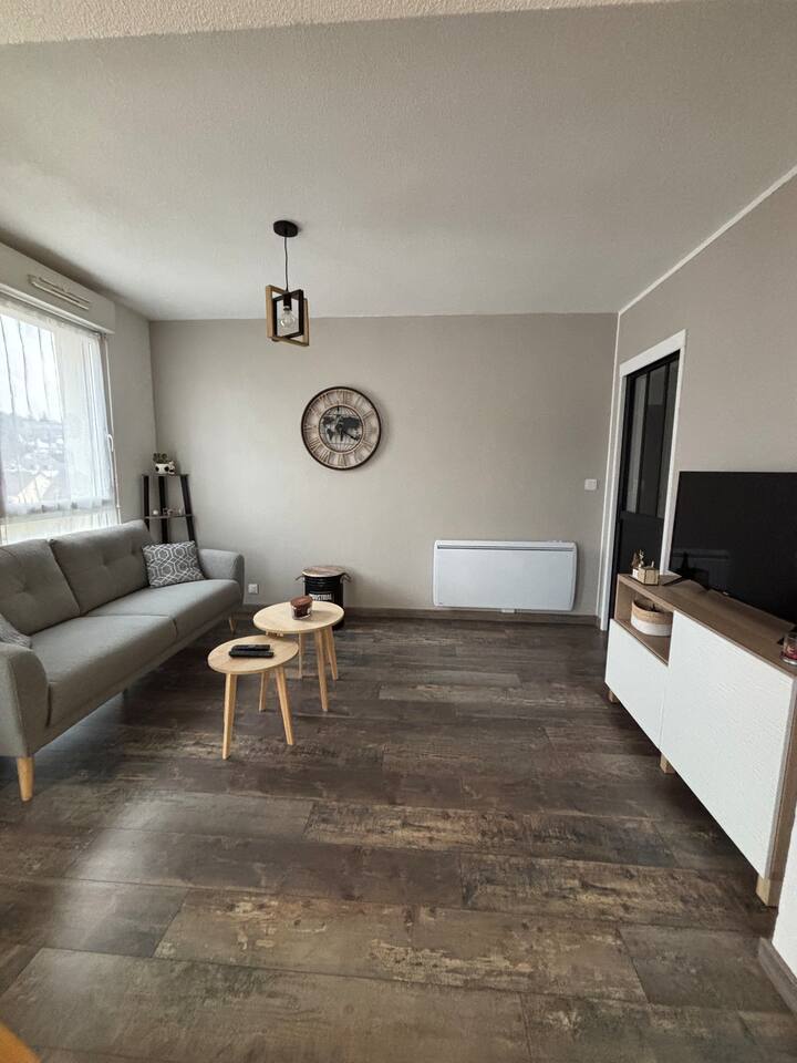 Bel Appartement T2 Rénové - Le Mans