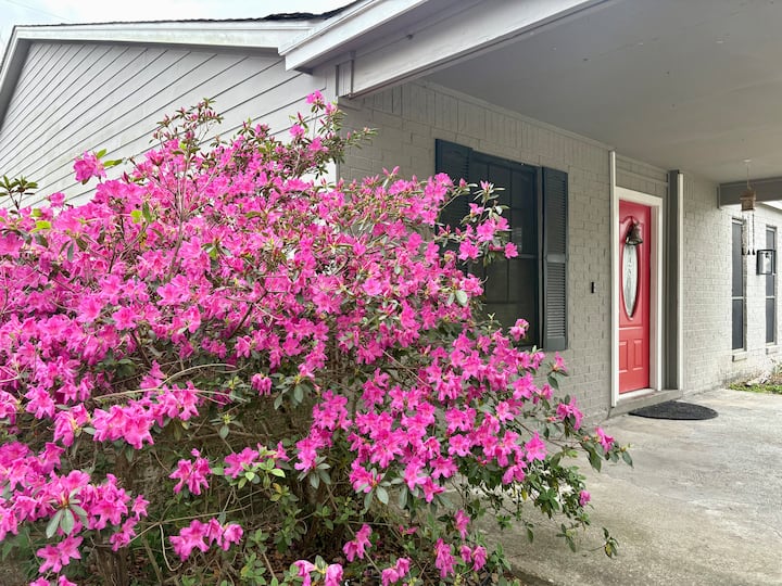 Moon Clan Stay - Pearland, TX