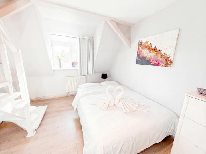 Chic&cosy - Vue Exceptionnelle - Centre Haguenau - Haguenau