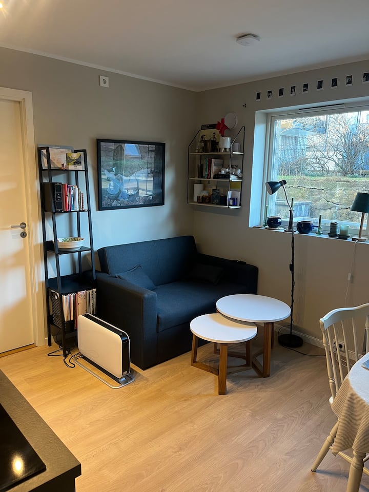 Flott Lita Leilegheit I Bergen - Bergen