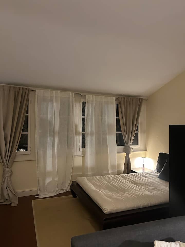 Charming Old City Center Flat - Geneva