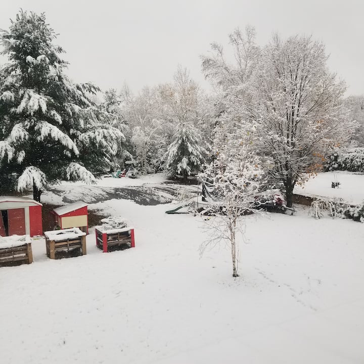 Ray Of Sunshine - Elliot Lake