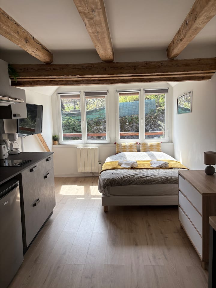 Le Studio Du Lac 3* - Veyrier-du-Lac