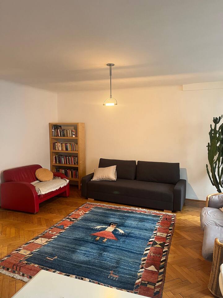 Central 125qm Flat (New Kitchen, 2 Balcony) - Graz