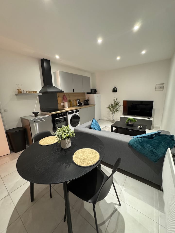 Appartement Cdg - Roissy-en-France