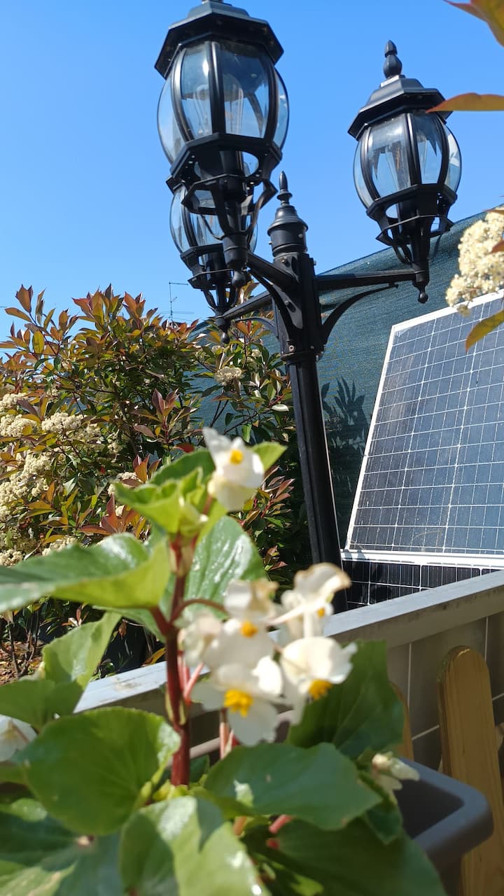 Villa Garlasco Centro 
Giardino - Alagna