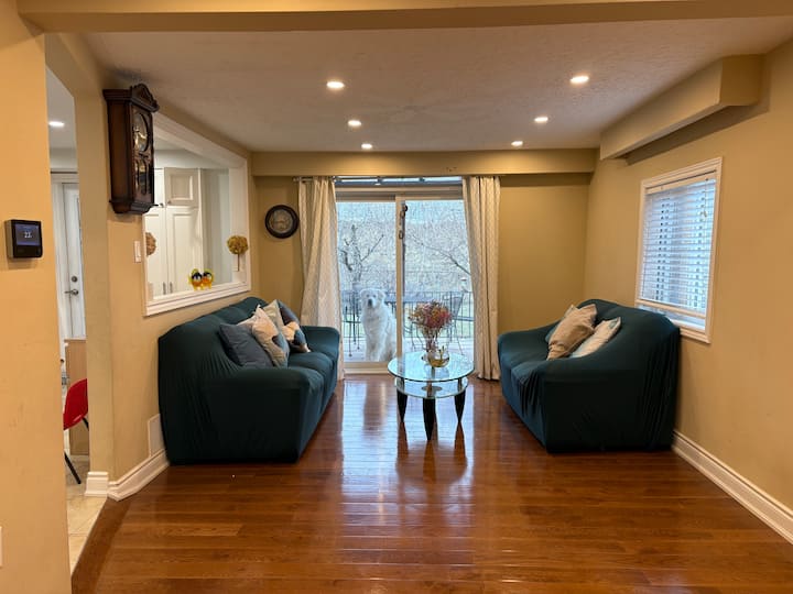 Single House - Toronto