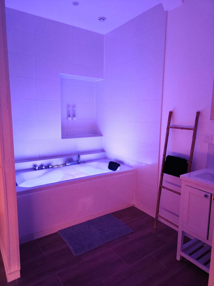 Jacuzzi Privé – Wi-fi – Studio Rénové 2025 - Châtel-Guyon