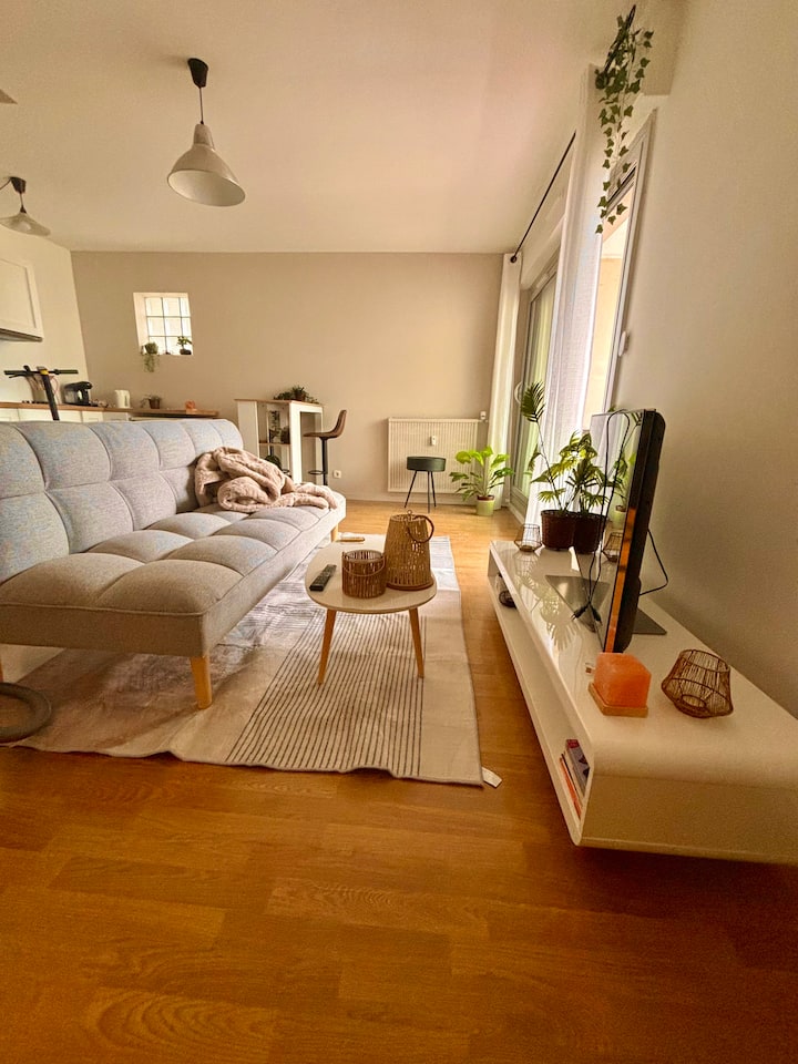 Appartement Cosy Sans Vis-à-vis - Sassenage