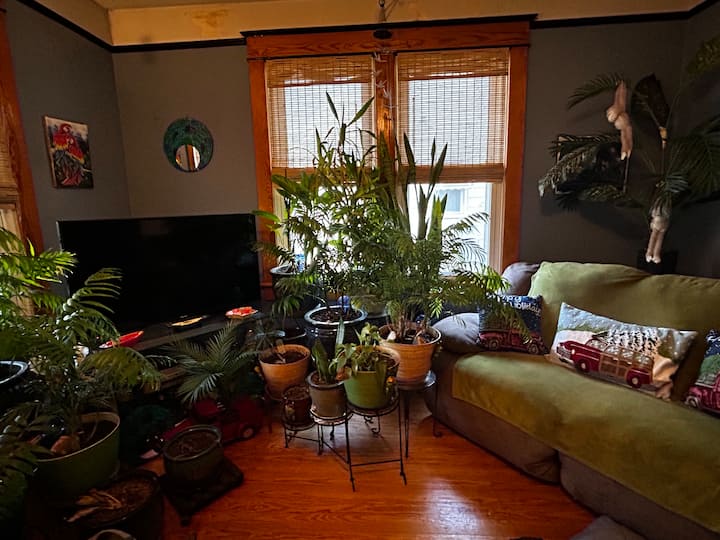 Zen Quiet Massage Therapist Home/near Downtownevms - Chesapeake, VA