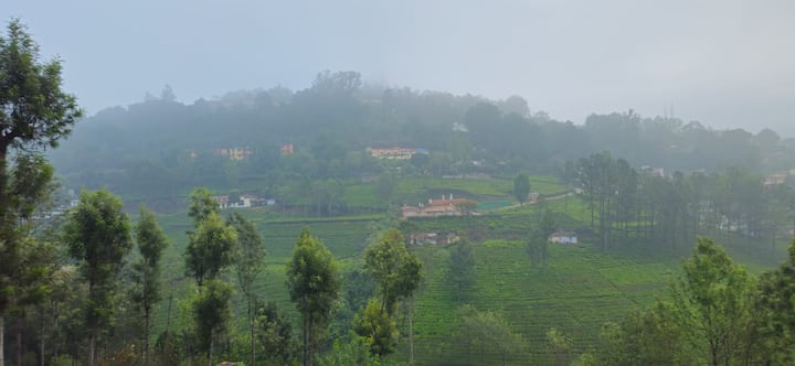 Disa's - Mistral White Villa - Kotagiri