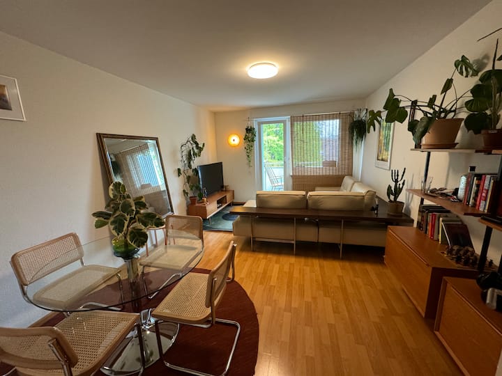 Central Whole Apartment W Balcon - Bâle