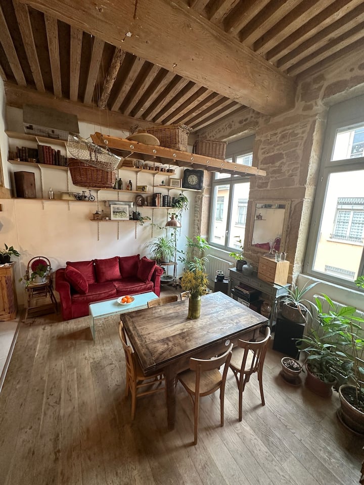 Typique Appartement Canut Lyonnais - Lyon