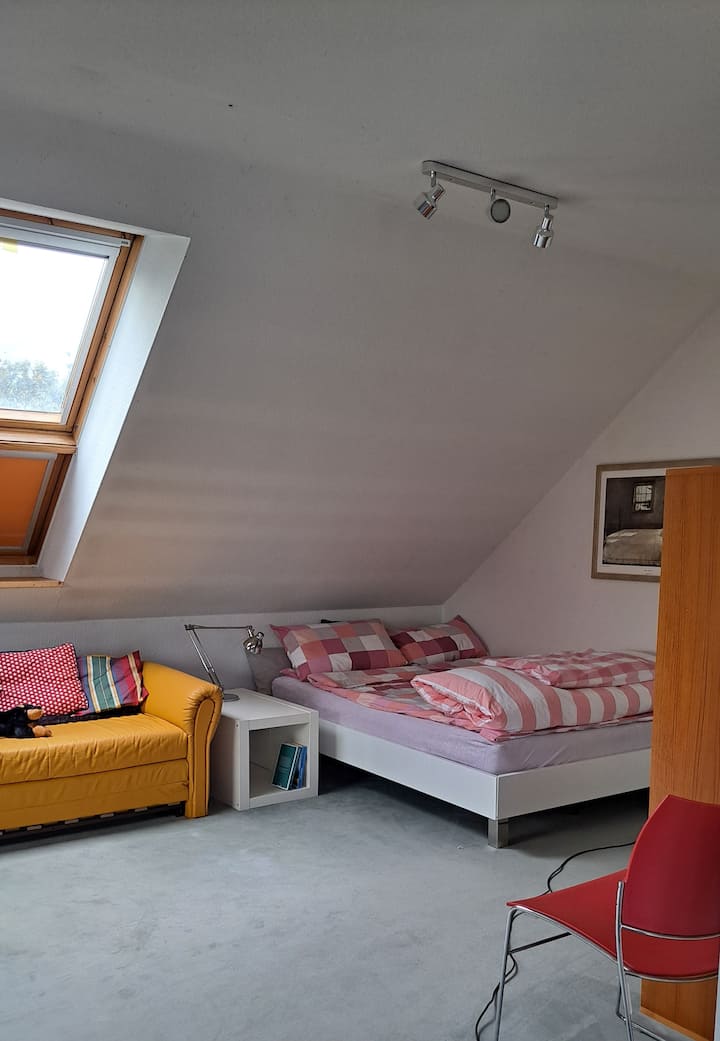 Sonniges Appartement - Hildesheim
