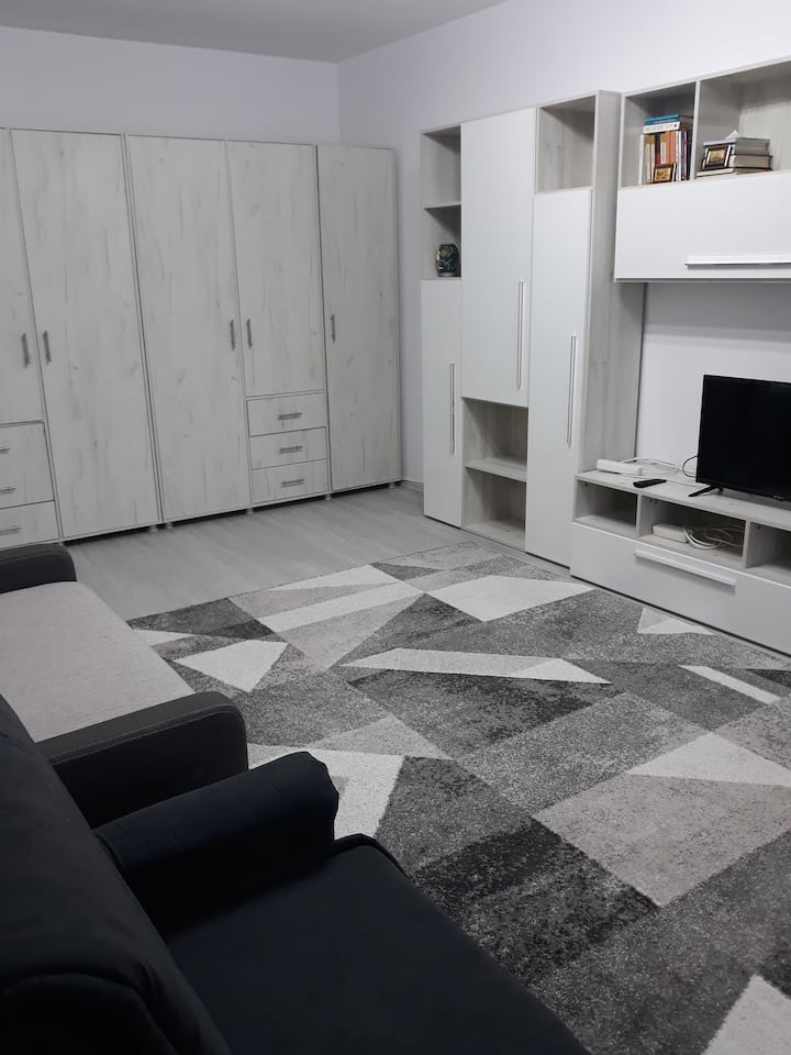 Apartament La Radu. - Pardina