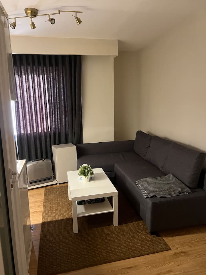 Central Cozy Apartment - Amman