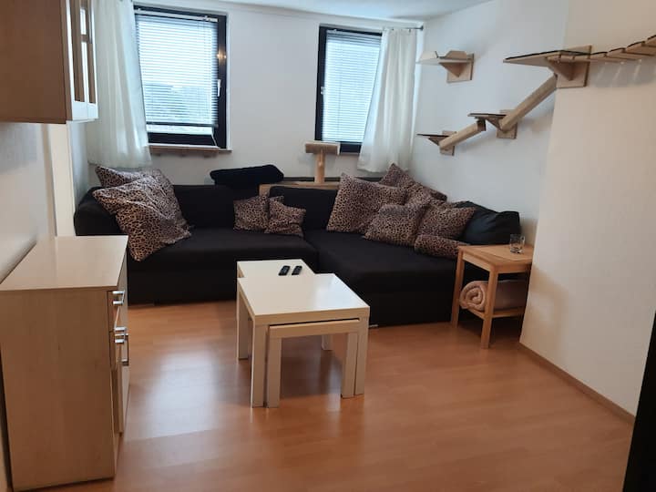 Zentrale Kleine Wohnung - Essen