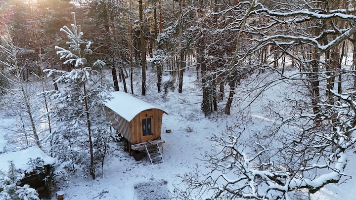 Gypsy Wagen - Genieße Die Ruhe Des Waldes - Brandenburg