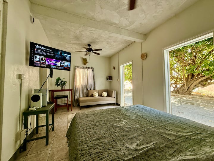 Coki Point Apartment Solar Powered - Saint Thomas