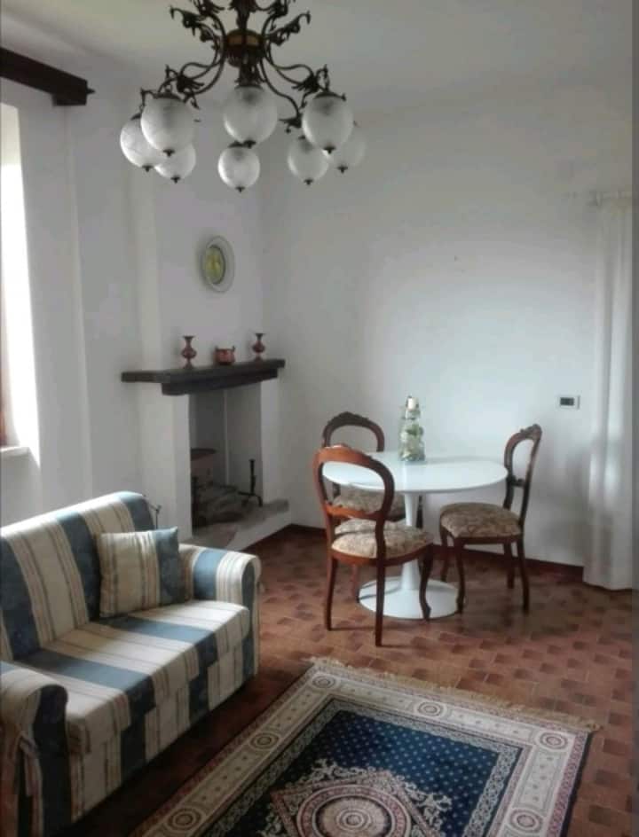 Casale Renieri-ortensia - Gavorrano