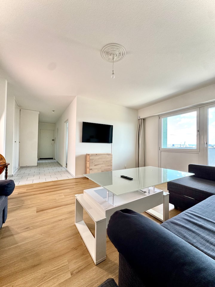 Basel Panorama View - EuroAirport Basel-Mulhouse-Freiburg (BSL)