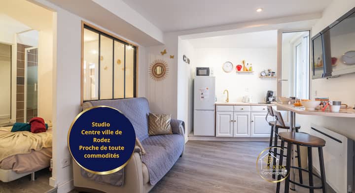 Studio Escapade Centre-ville Idéal Pro Et Nomads - Rodez