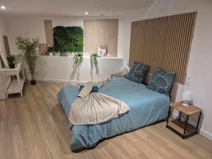 Grand Souplex Rare Centre Ville - Rodez