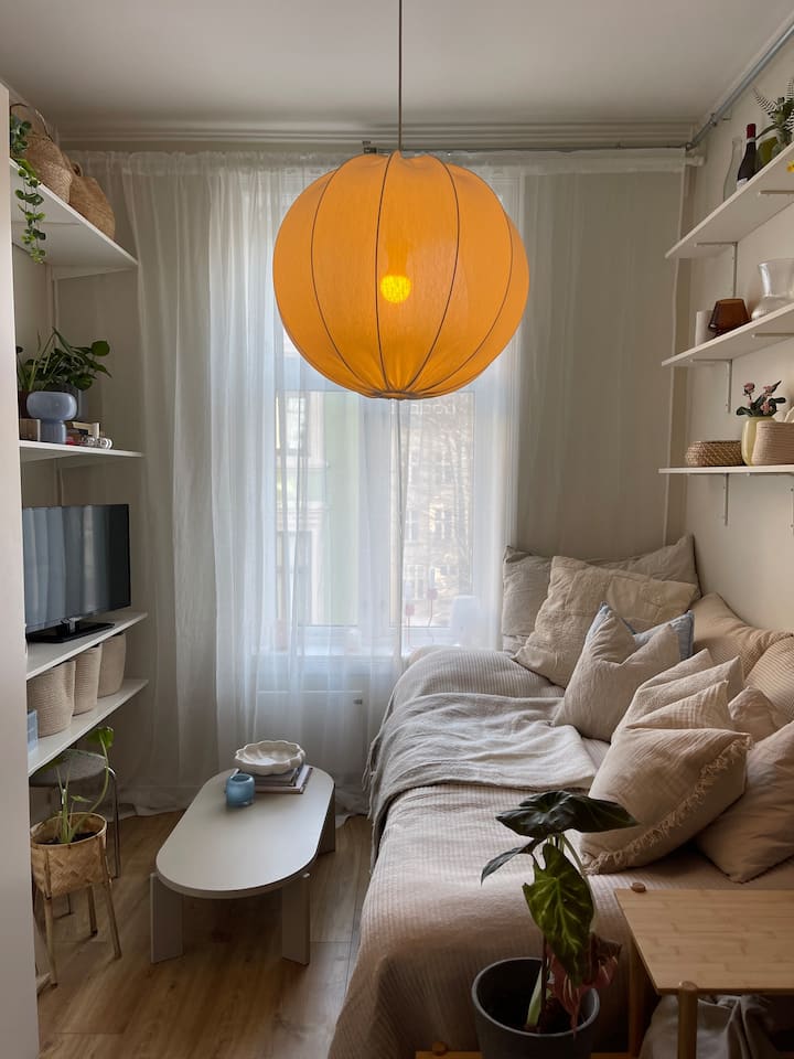 Koselig Og Sentrumsnær 1-roms Leilighet - Oslo