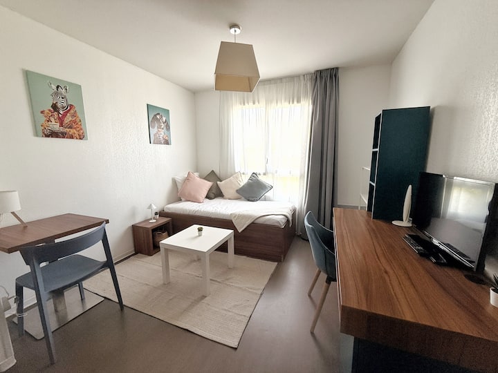 119_studio Proche Fac - Perpignan