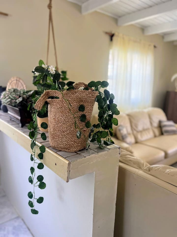 Curacao Dushi - Curaçao