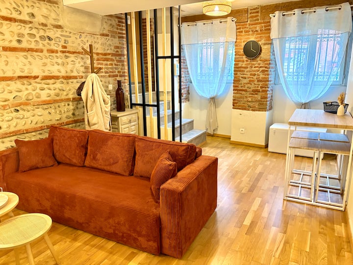 Appartement  Toulousain Hypercentre - Toulouse