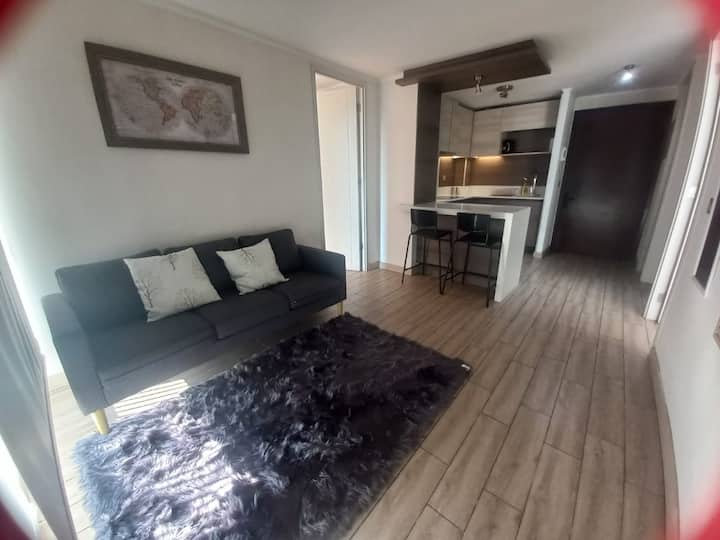 Cozy Apartment In Barrio Italia - Santiago de Chile