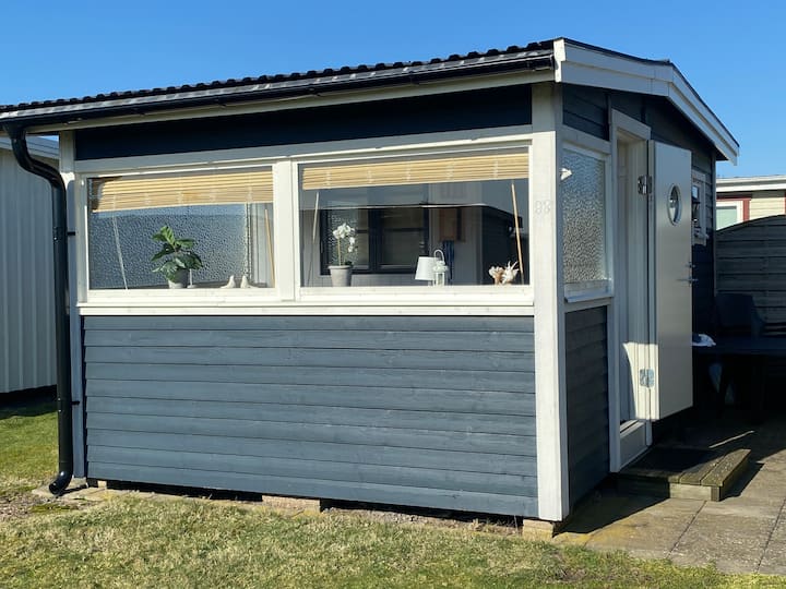 Sillen 98 - Falkenberg