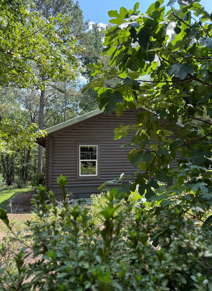 Lakefront + Clemson + Kayaks - Lake Hartwell