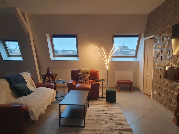 Belle Vue | 1-2 Pers. | Grand Appartement Auxerre - Auxerre