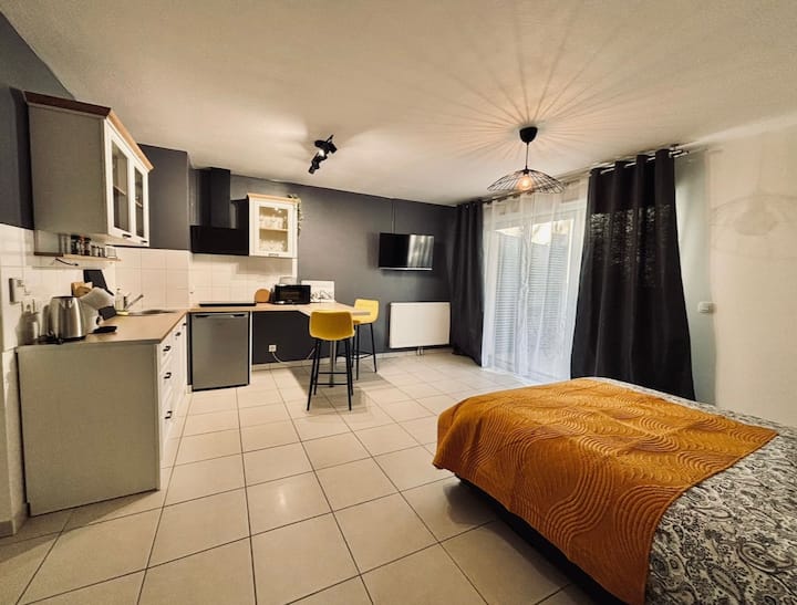 Grd Studio Calme, Parking Privé, Terrasse, Ll, Lv. - Cornebarrieu