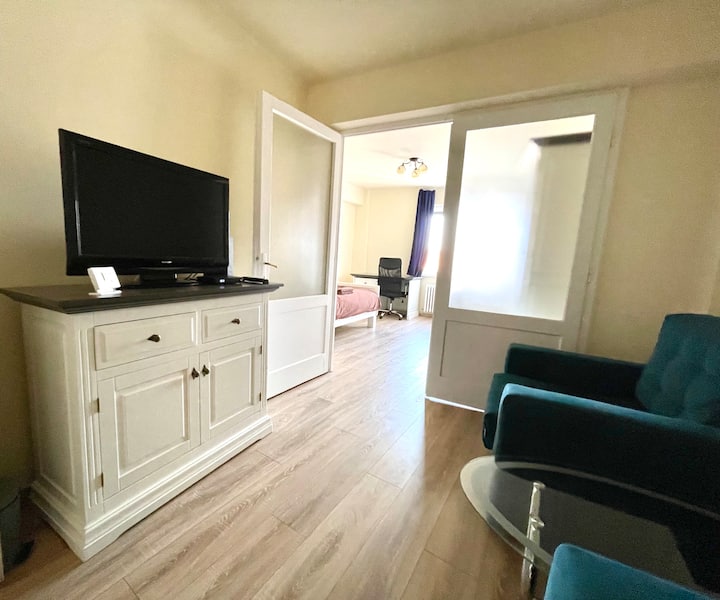 Casa De Cultură Ultracentral 1bd - Cluj-Napoca