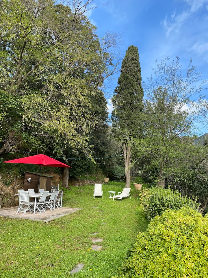 Appartement Erbalonga Cap Corse - Brando