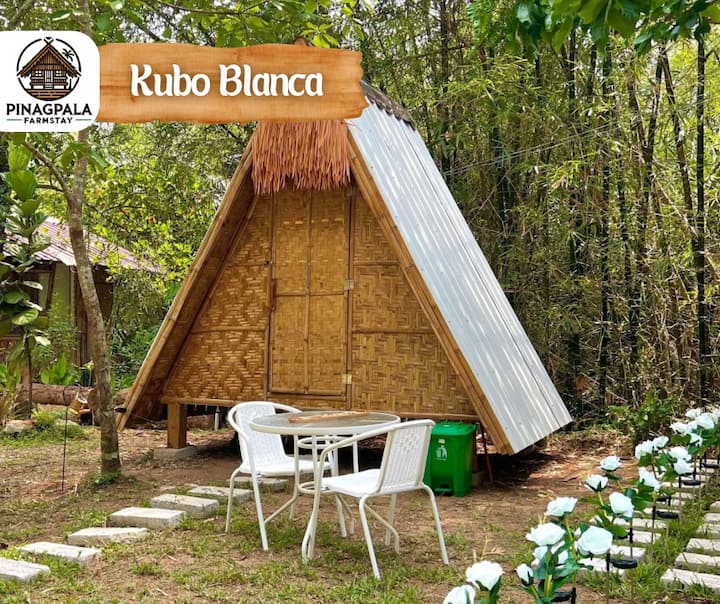Kubo Blanca - Pinagpala Farmstay & Campsite - Maragondon