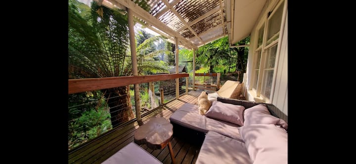 Cabin In The Woods - Mount Baw Baw