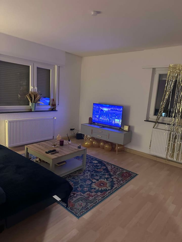 Cozy Apartment In Heidelberg - Heidelberg