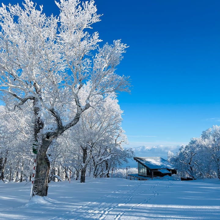 個室素泊まりプラン　長期滞在割引きあり！スキー＆スノボ　7eスノーパークまで5分。 - Hakodate