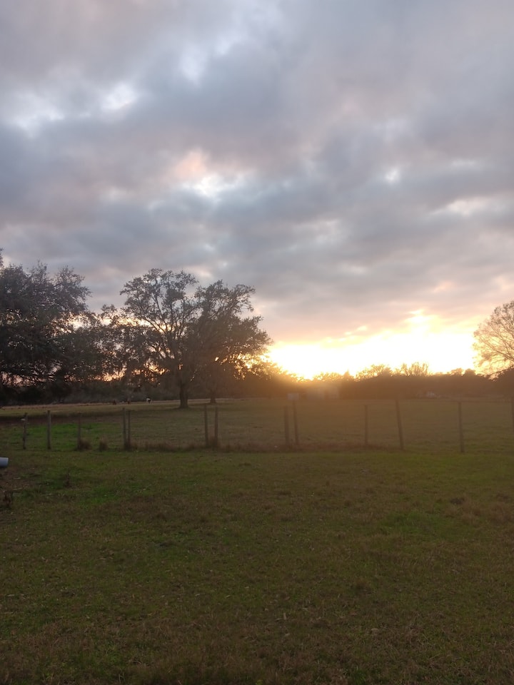 A Suite Above The Ranch - Moody Lake, FL