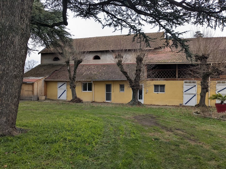Appartement Indépendant Dans Un Ancien Haras - Montrond-les-Bains