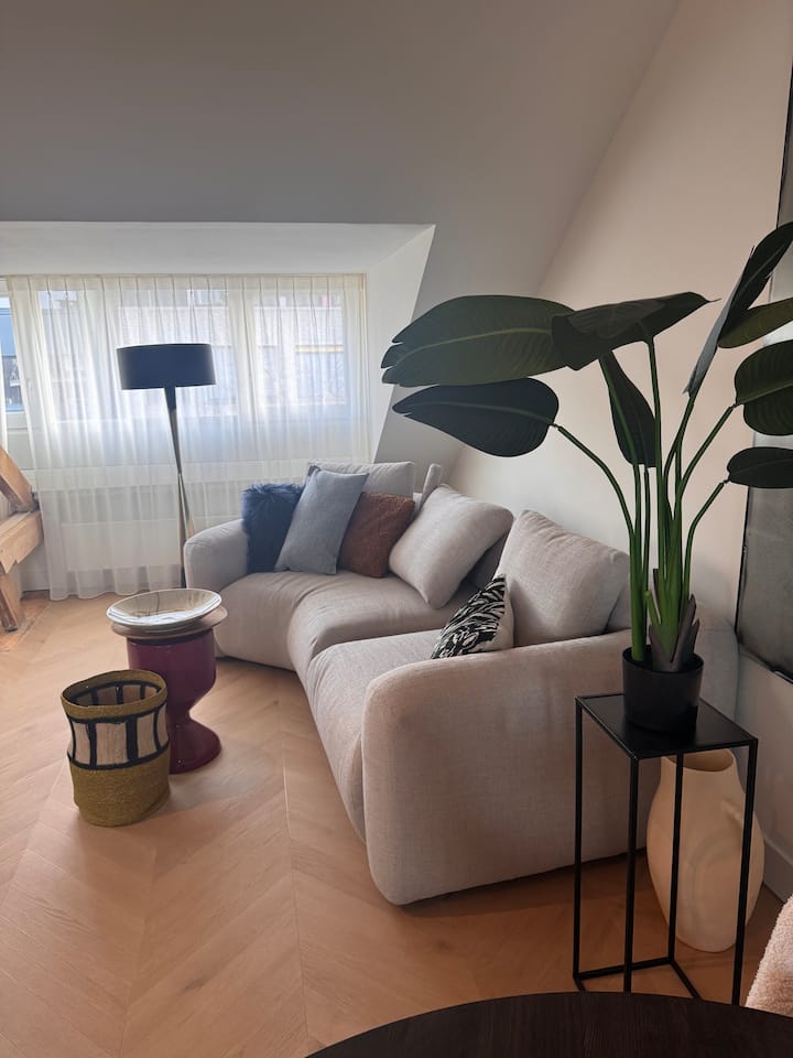 Charming Attic Apartment In The Heart Of The City - Eindhoven