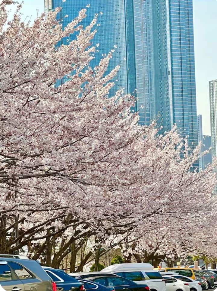 #O Stay No.8 /해운대 달맞이길 감성주택 / 6인 숙소 3룸(거실,방2) - Busan