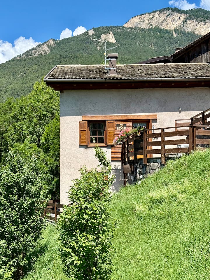 Villetta Ximenes - Predazzo