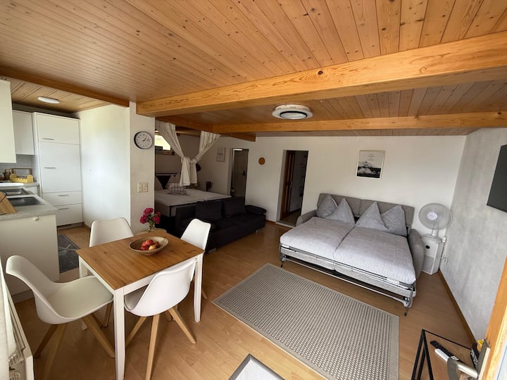 Studio Spiez With Lake View & Alpine Panorama - Spiez