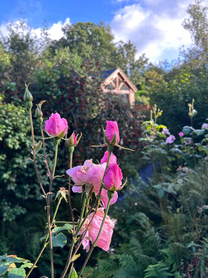 The Old Kiln, Pennant - Machynlleth